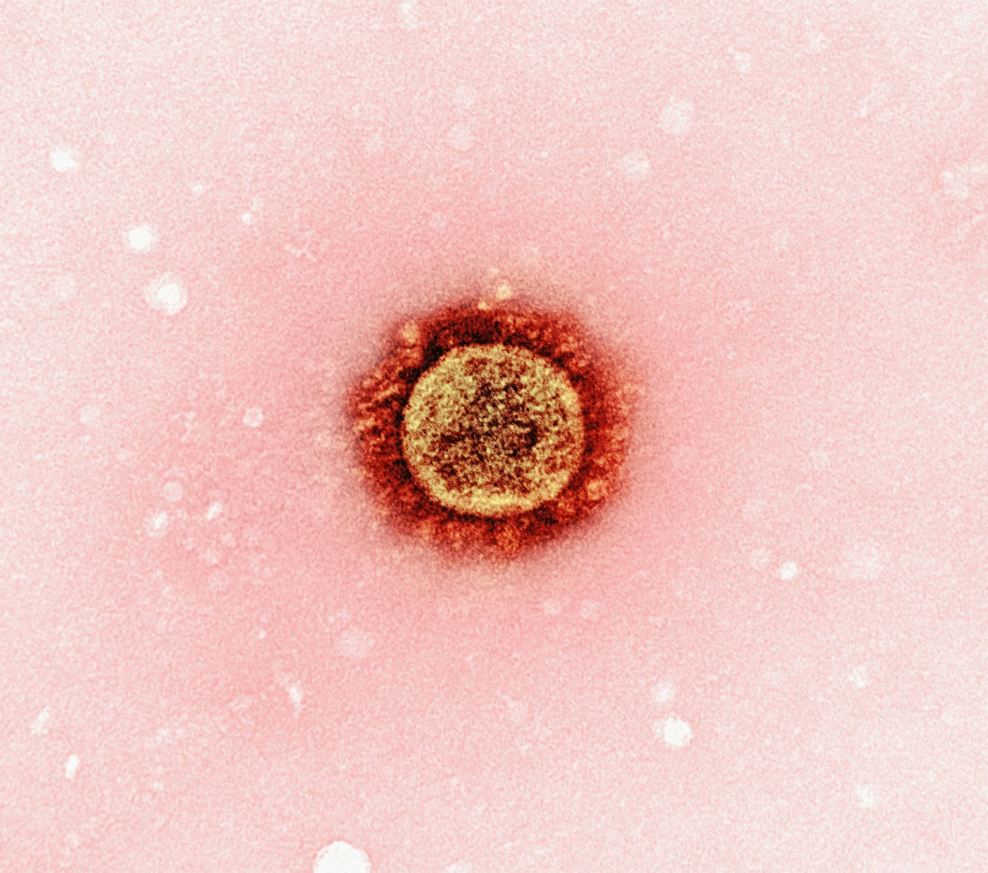 Ensure Your Best Health with an Immune System Checklist – Mega Vitamins